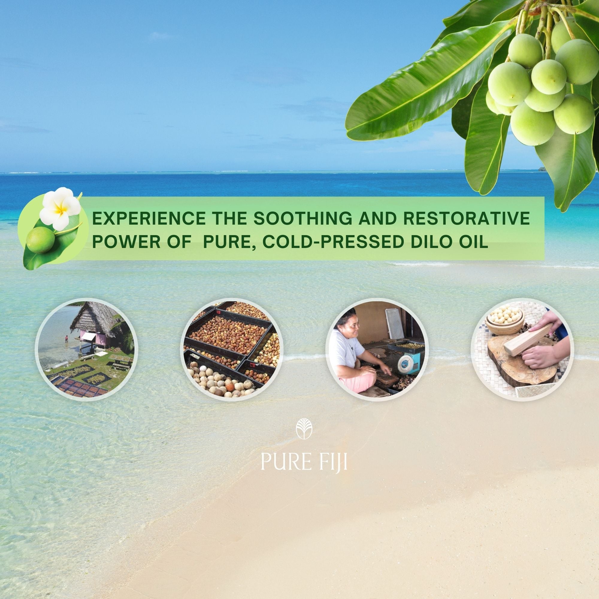 Dilo Restorative Body Gel (7.7oz/230ml) – Pure Fiji US Store