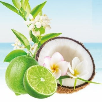 Dilo Restorative Body Gel (7.7oz/230ml) – Pure Fiji US Store