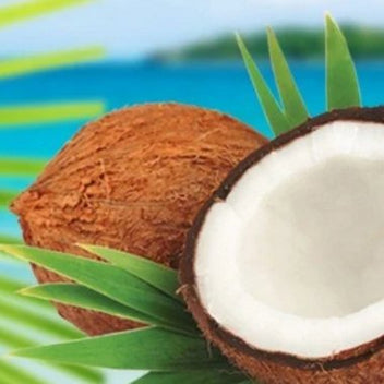 Dilo Restorative Body Gel (7.7oz/230ml) – Pure Fiji US Store